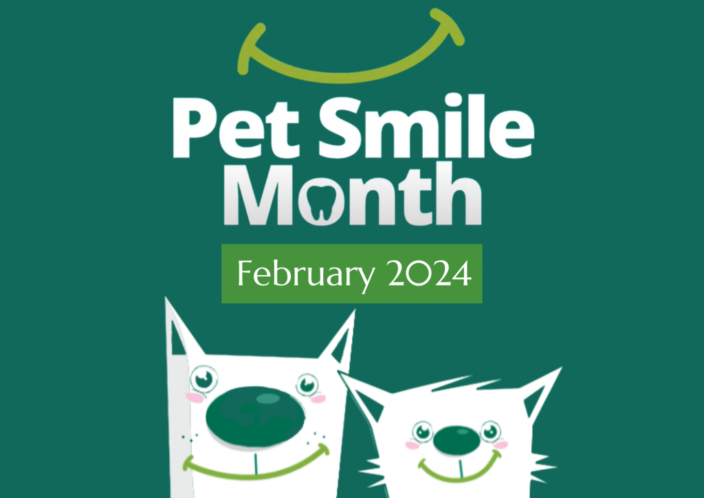 Pet Smile Month - Iffley Vets - Veterinary practice in Oxford and Wheatley