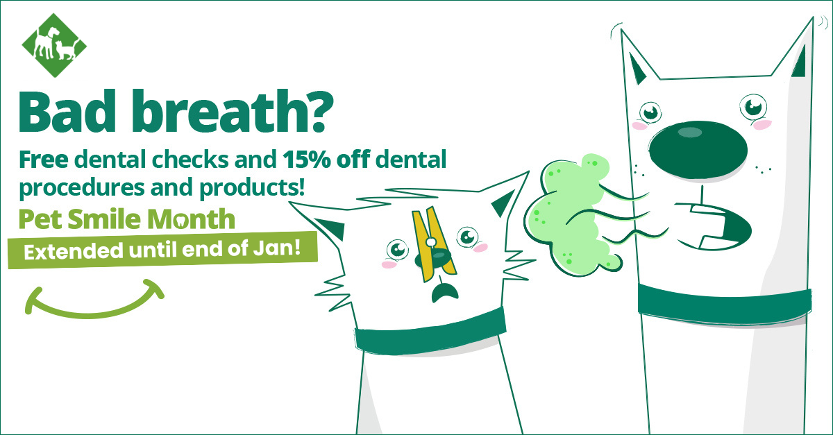 Pet Smile Month - Iffley Vets - Veterinary practice in Oxford and Wheatley